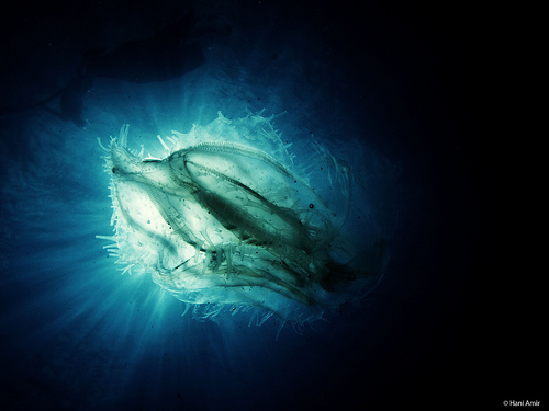 Summer Movie Monsters: Deep Rising 1998 | Glued 2 The Screen